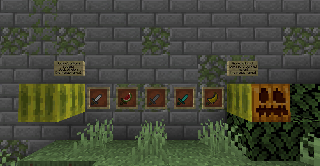 Fruitnetwork beta version Minecraft Texture Pack