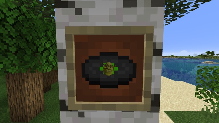 The entire Shrek movie, but it's Disc 11 Minecraft Texture Pack