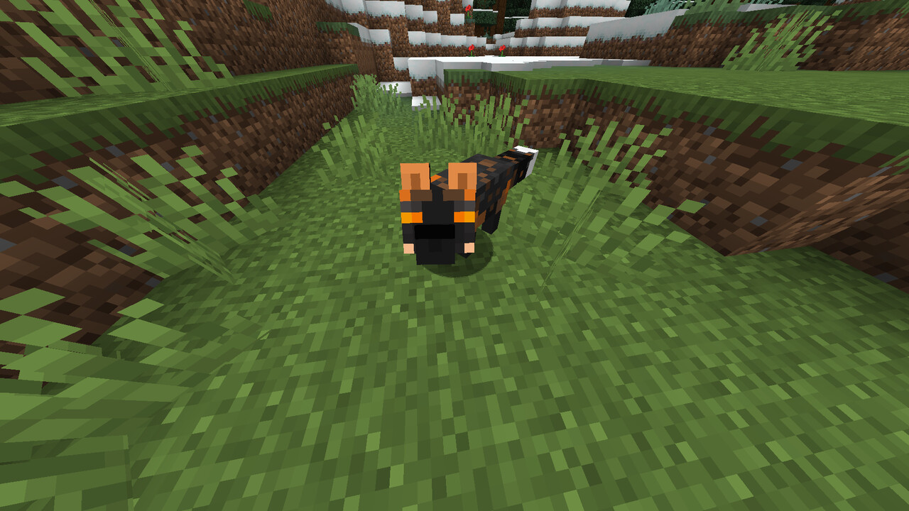 Fox Accurate (Optifine) Minecraft Texture Pack