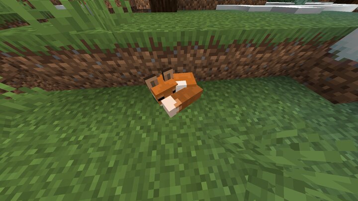 Fox Accurate (Optifine) Minecraft Texture Pack