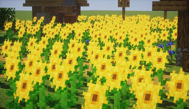 Better Sunflowers! [1.14+] Minecraft Texture Pack