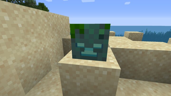 Drowned Head Minecraft Texture Pack