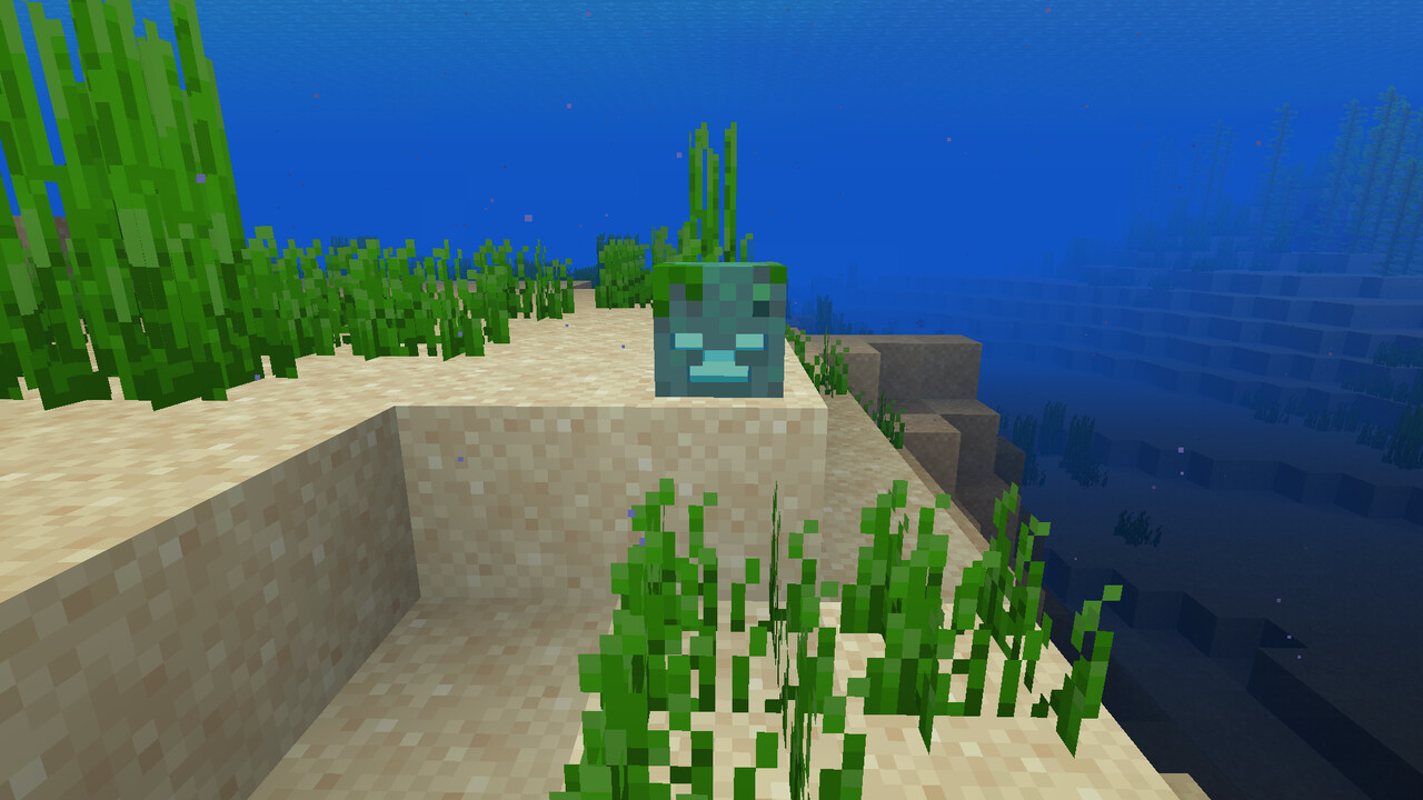 Drowned Head Minecraft Texture Pack