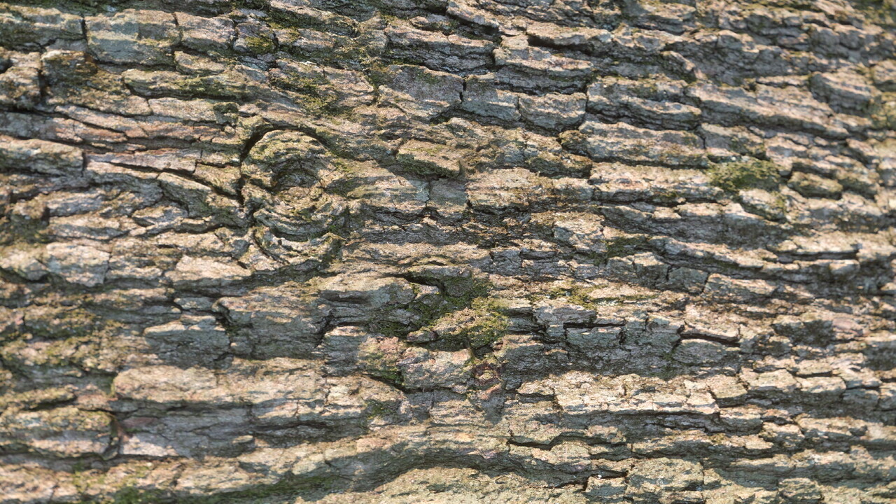 Nova Photorealism 8192x8192 Ultra HD DEMO Minecraft Texture Pack