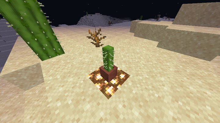 3D Cactus 32x32 Minecraft Texture Pack