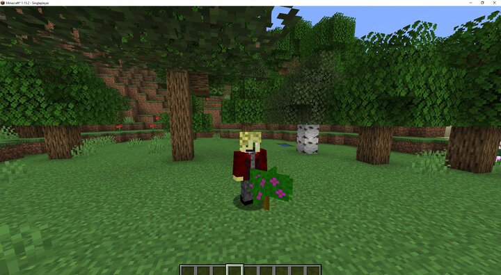 [FIXED] Azalea sapling (grows into oak tree) Minecraft Texture Pack