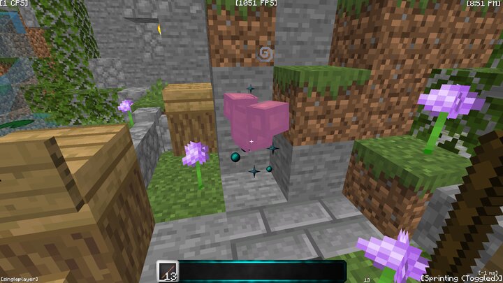 Cranium 256x Texture Pack Minecraft Texture Pack