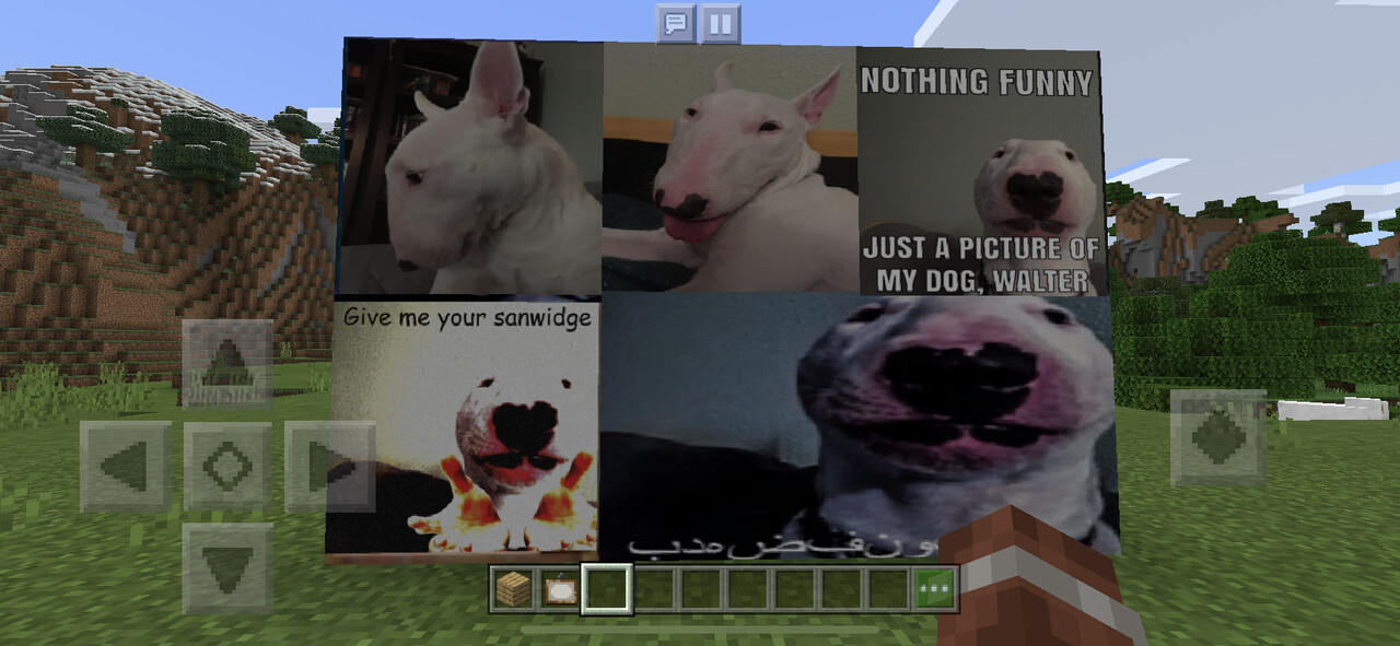 Walter the dog painting resource pack Minecraft Texture Pack