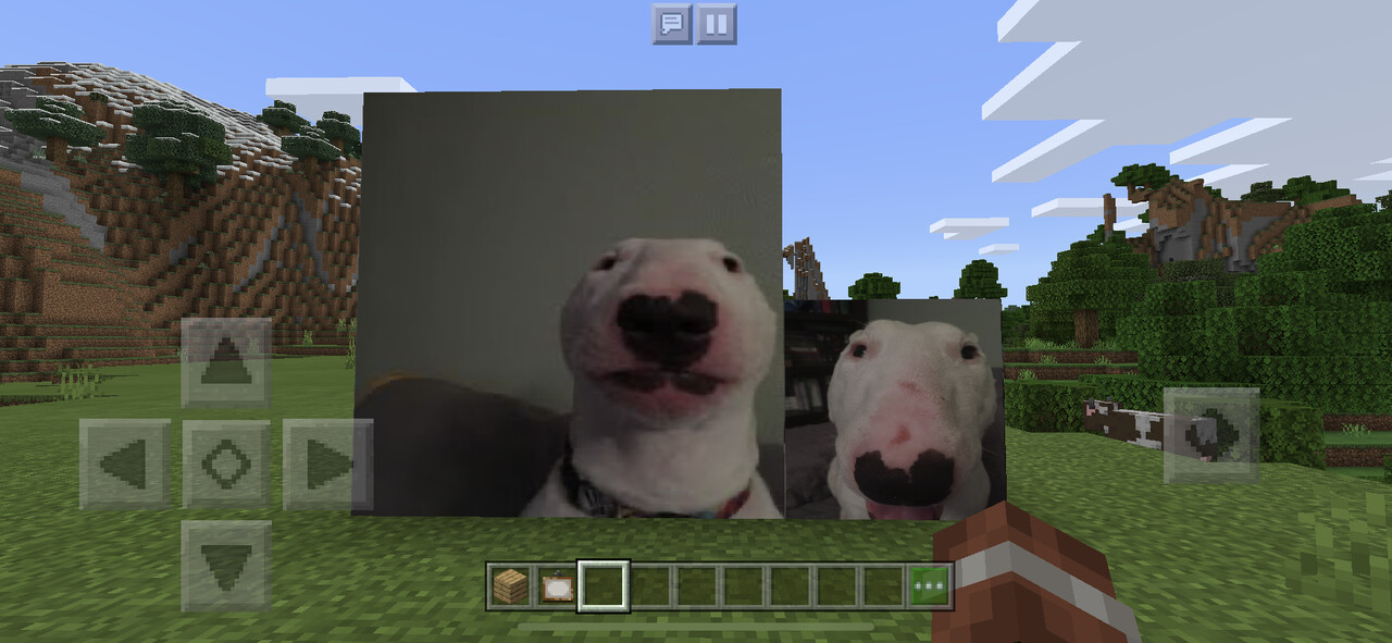 Walter the dog painting resource pack Minecraft Texture Pack