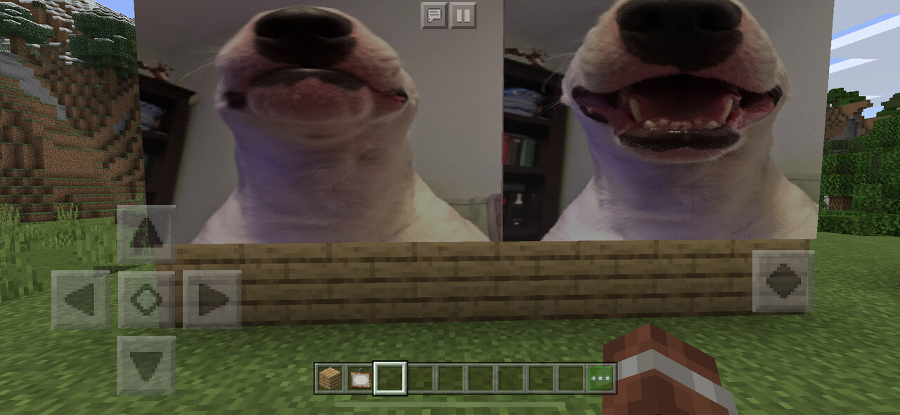 Walter the dog painting resource pack Minecraft Texture Pack