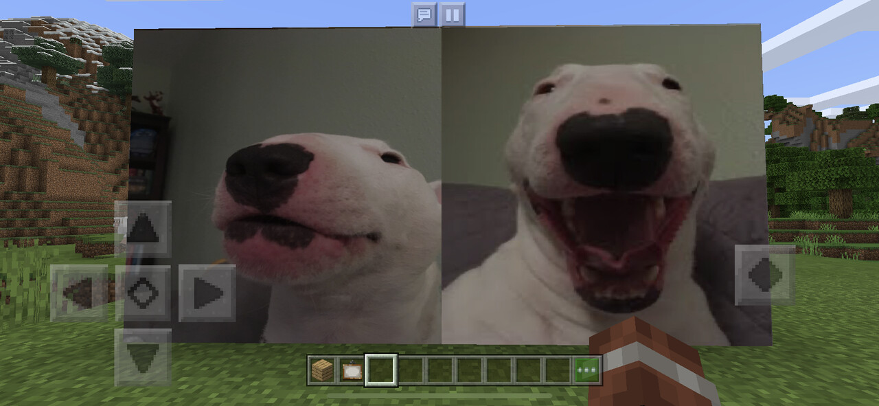 Walter the dog painting resource pack Minecraft Texture Pack
