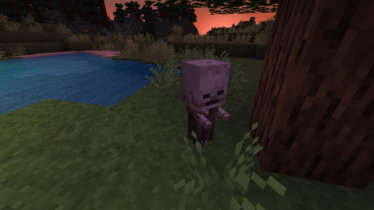 Skeleton Villagers Minecraft Texture Pack