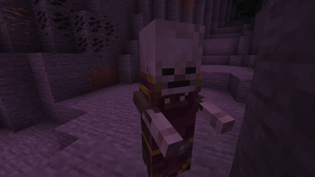 Skeleton Villagers Minecraft Texture Pack