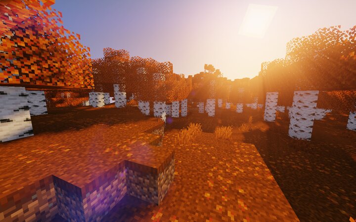 Autumn Birch Minecraft Texture Pack