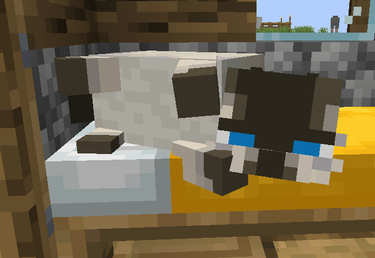 Fat Cat [Java + Bedrock] Minecraft Texture Pack