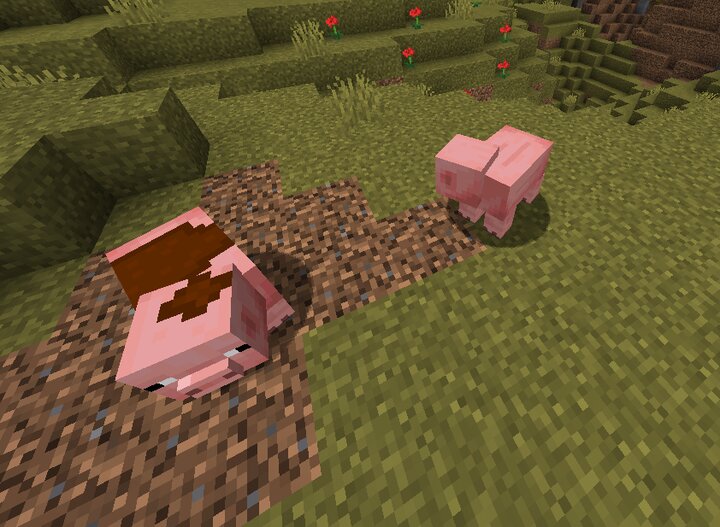 Newcraft: Tweaks & Variety Update Minecraft Texture Pack