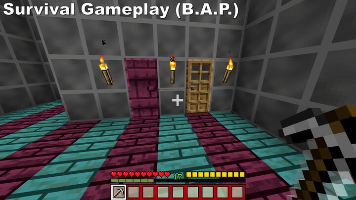 BLIND ACCESSIBLE PACK (Version 1.1) Minecraft Texture Pack