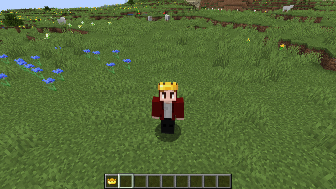 Golden Crowns by IcebergLettuce (1.16+) Minecraft Texture Pack