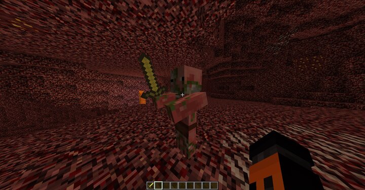 the Old Pigs, for 1.16.x Minecraft Texture Pack