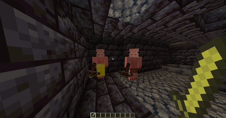 the Old Pigs, for 1.16.x Minecraft Texture Pack