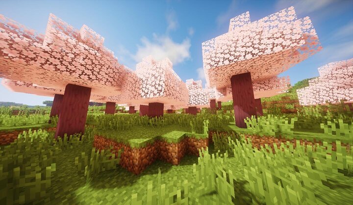 Sakura trees Minecraft Texture Pack