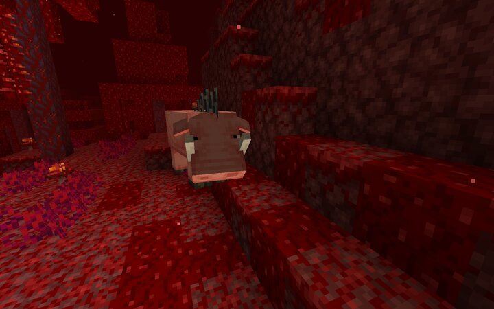 Piglin-Pigman hybrid. Minecraft Texture Pack