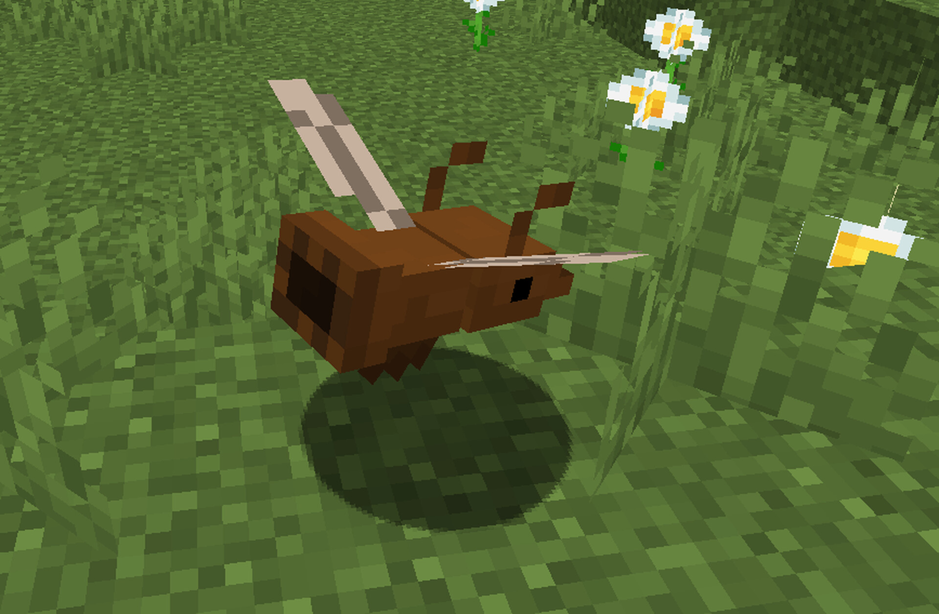 Ants Minecraft Texture Pack