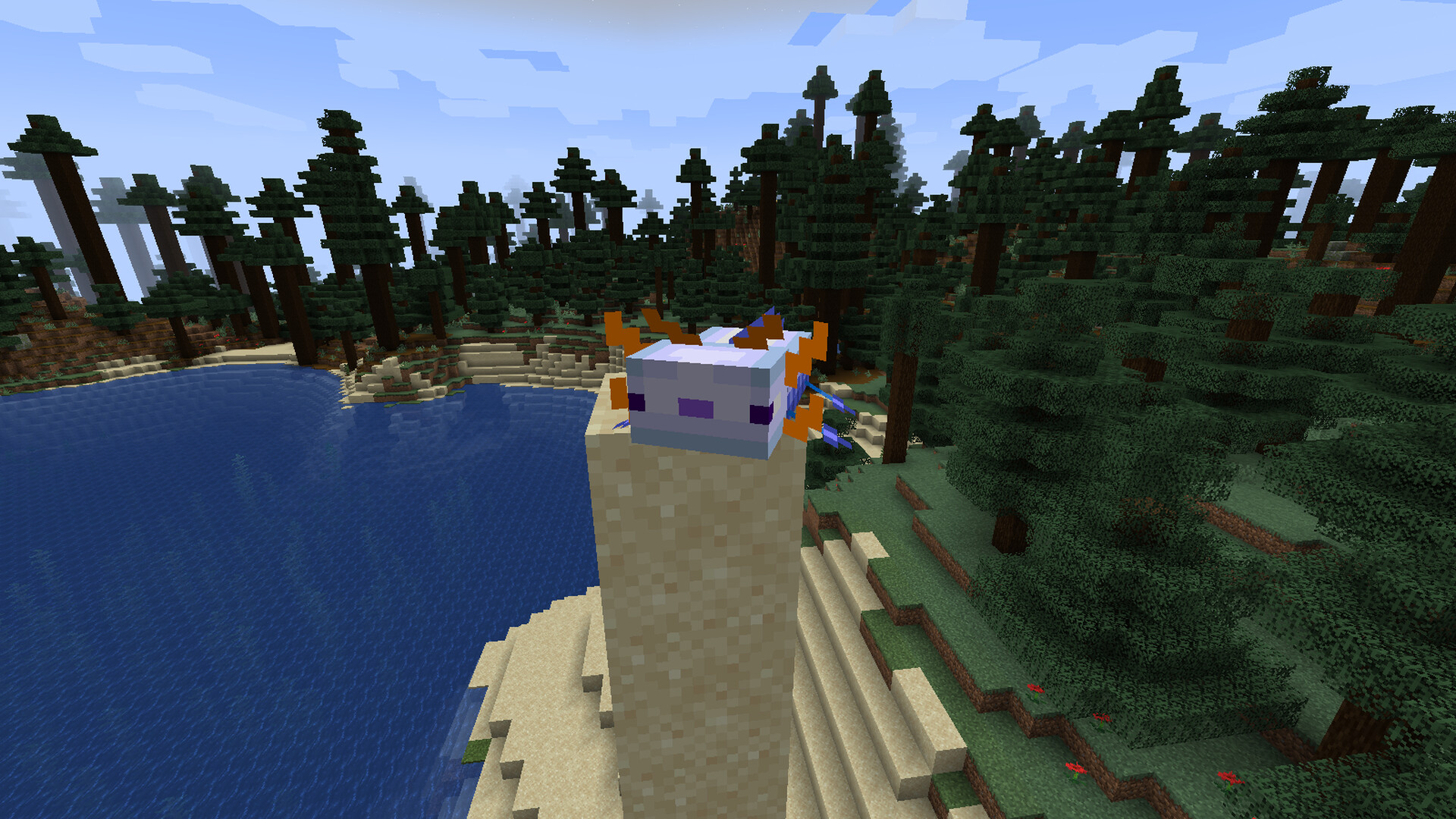 ltsLimeTime's Improved Axolotls V3 (PLEASE READ DESC)**** Minecraft ...