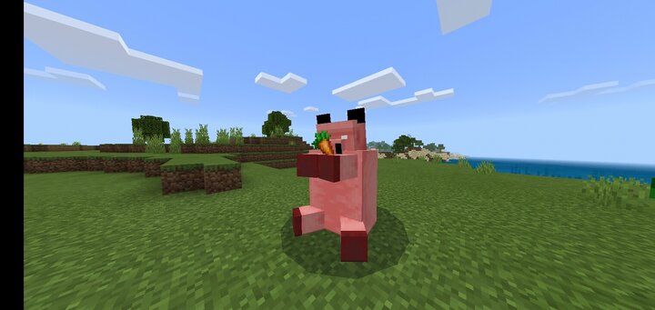 Panda to Big pig (Bedrock edition) Minecraft Texture Pack