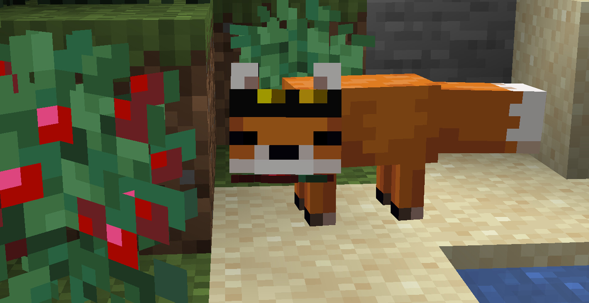 Minecraft Fox But It's Fundy's Face With Hat [𝟭.𝟭𝟰 - 𝗟𝗮𝘁𝗲𝘀𝘁 𝗩𝗲𝗿𝘀𝗶𝗼𝗻 ...