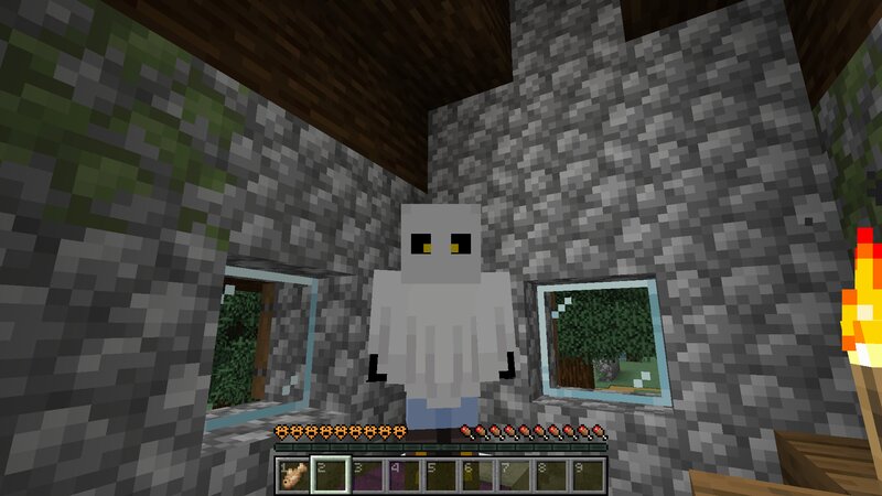 Origins Immersion: Feline Minecraft Texture Pack