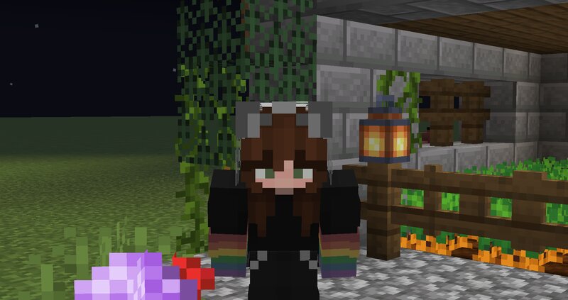 cat ear armour !! Minecraft Texture Pack