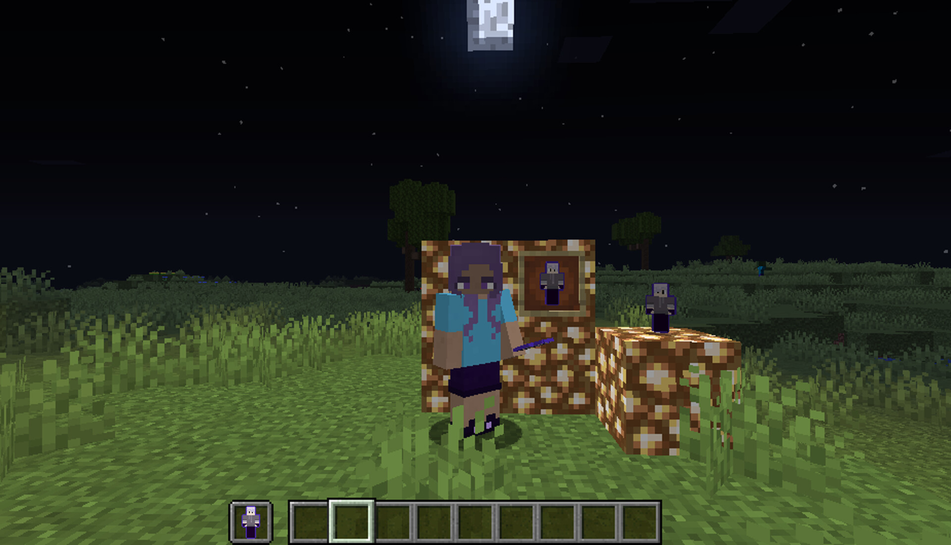 Violet Of Undying Minecraft Texture Pack