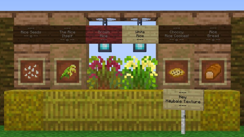 Basically Rice. Minecraft Texture Pack