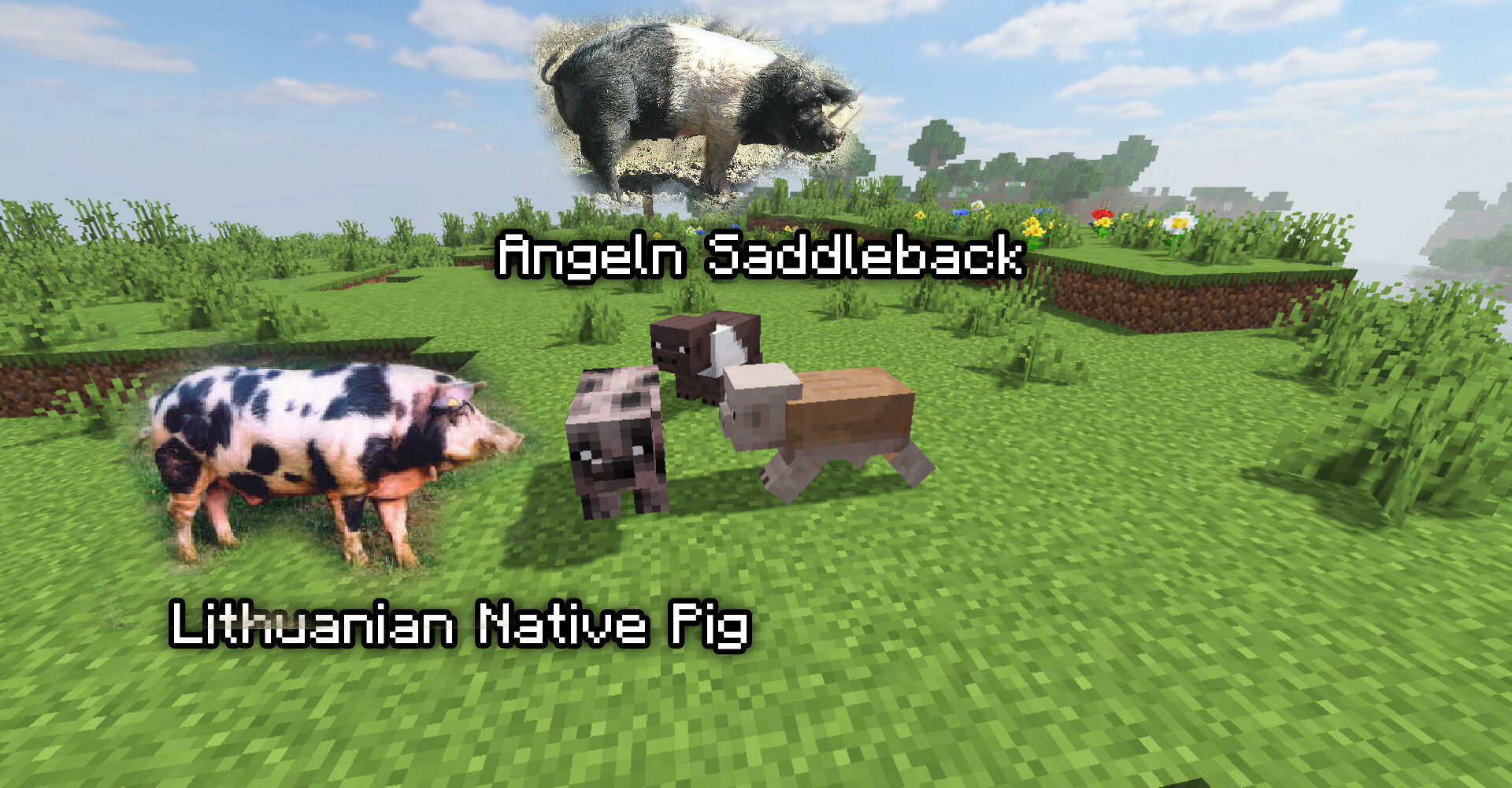 [Navila] VARIATED Mobs! - Better Vanilla by Kreazive Minecraft Texture Pack