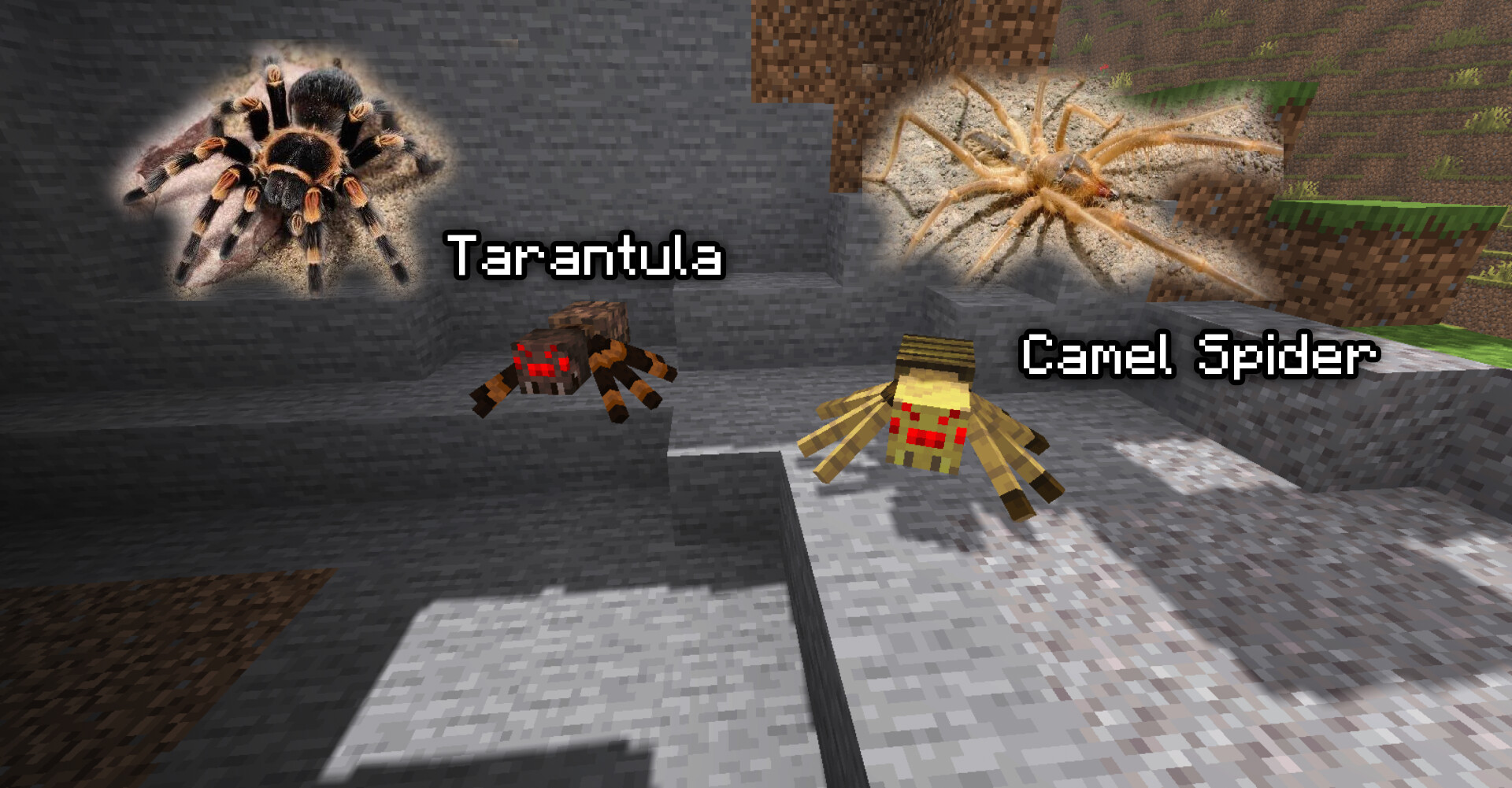 [Navila] VARIATED Mobs! - Better Vanilla by Kreazive Minecraft Texture Pack