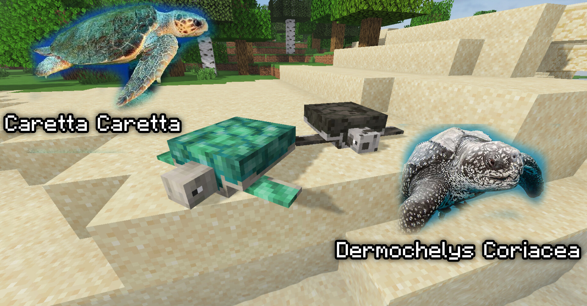 [Navila] VARIATED Mobs! - Better Vanilla by Kreazive Minecraft Texture Pack