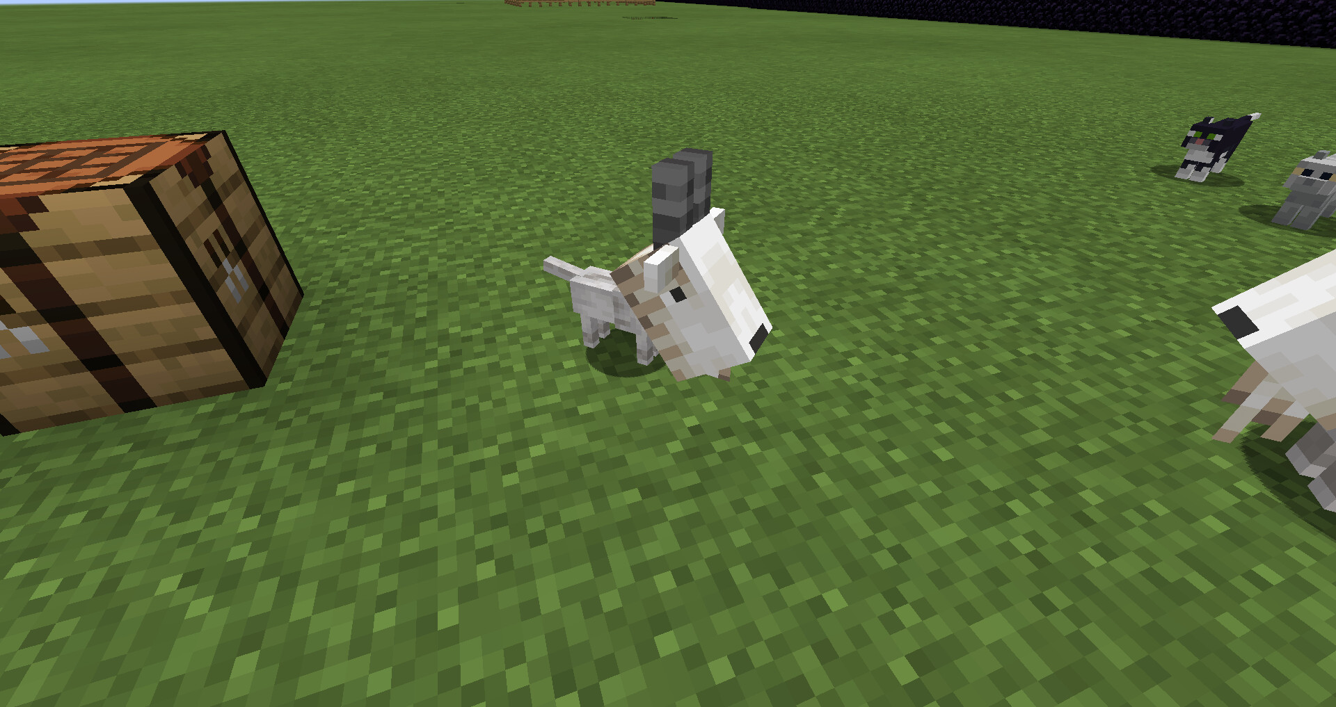 Sheep head wolf（Optifine） Minecraft Texture Pack