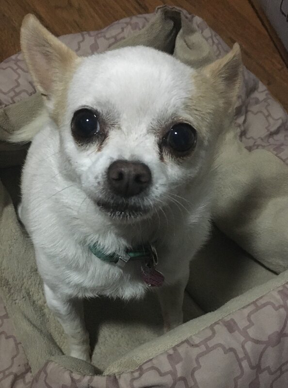 Pancake in Minecraft! Minecraft Texture Pack