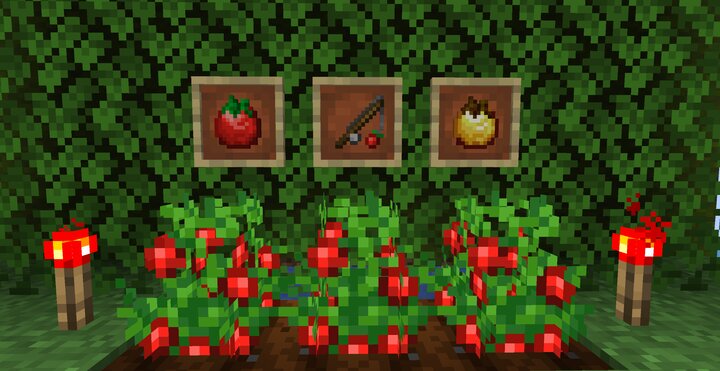 Tomatoes Minecraft Texture Pack