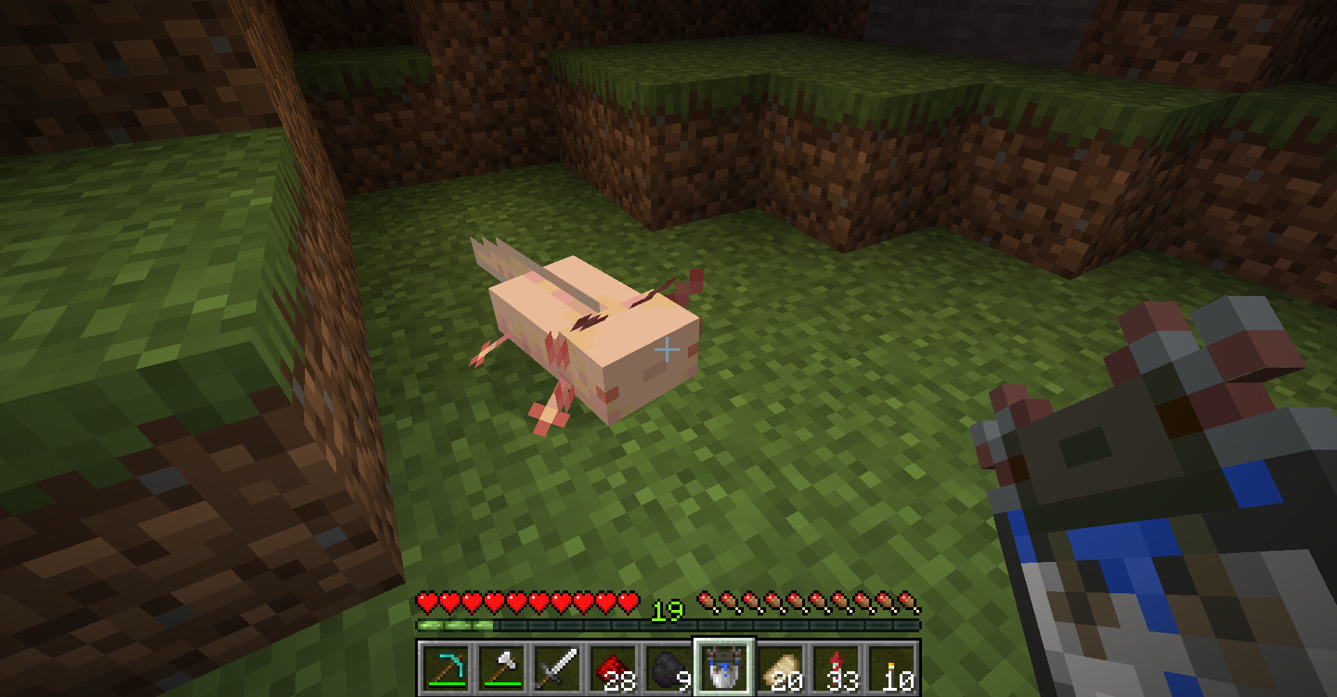 Joe's Improved Axolotls Bedrock and Java compatible Minecraft Texture Pack