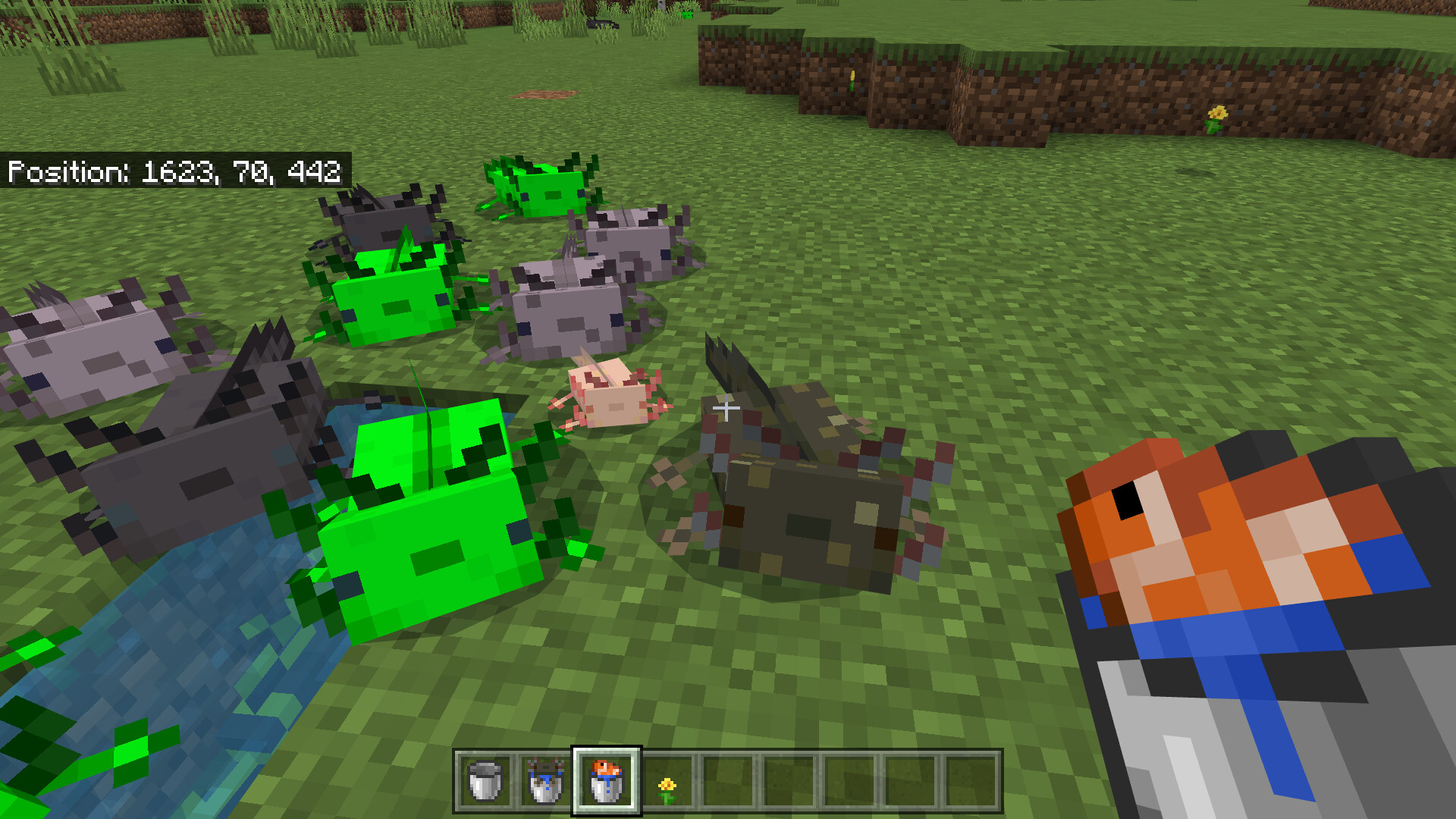 Joe's Improved Axolotls Bedrock and Java compatible Minecraft Texture Pack