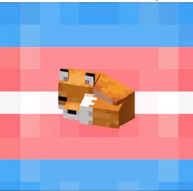 foxes wearing thigh highs with the trans flag Minecraft Texture Pack