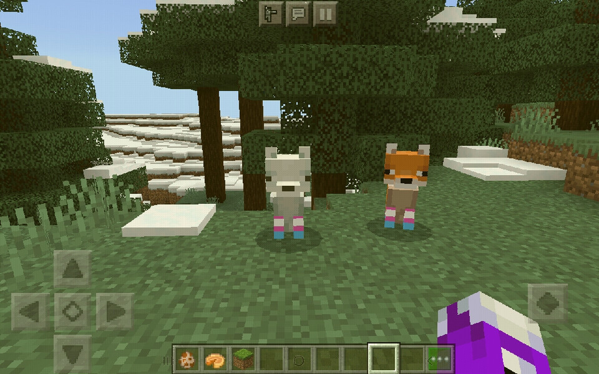 foxes wearing thigh highs with the trans flag Minecraft Texture Pack