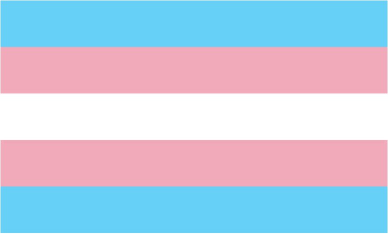 foxes wearing thigh highs with the trans flag Minecraft Texture Pack