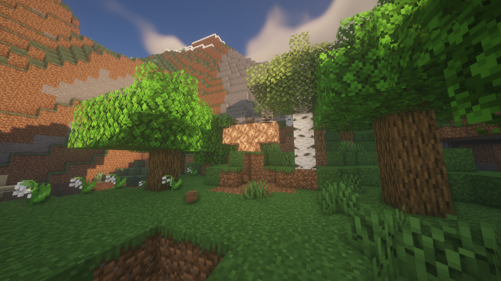 Full Block Golems (Optifine) Minecraft Texture Pack