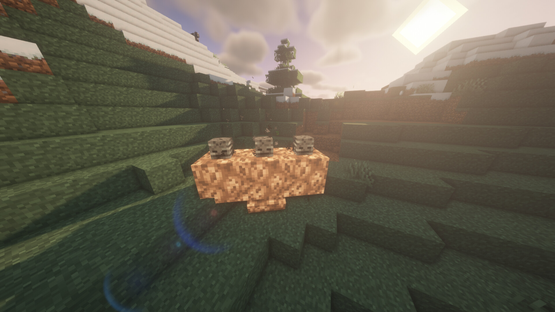 Full Block Golems (Optifine) Minecraft Texture Pack