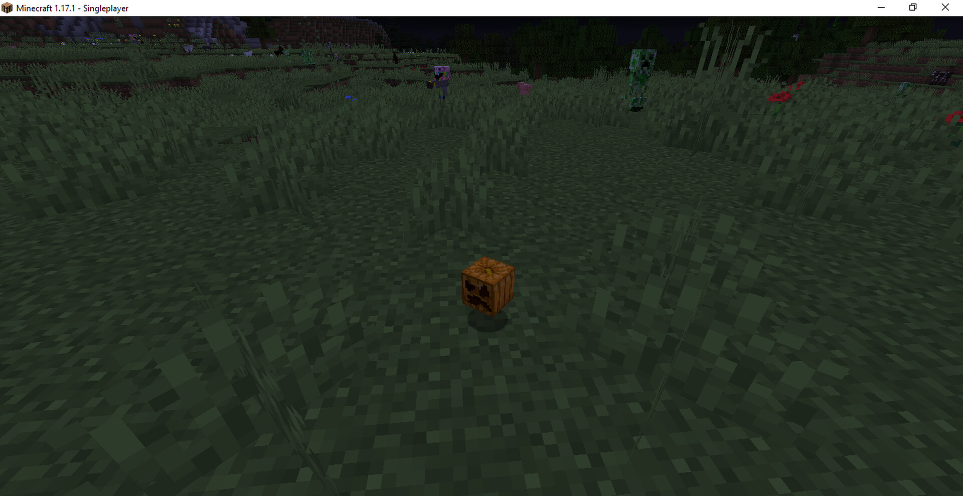 TINY TEXTURE CHANGES | Wacky Wonderful Wattles Minecraft Texture Pack