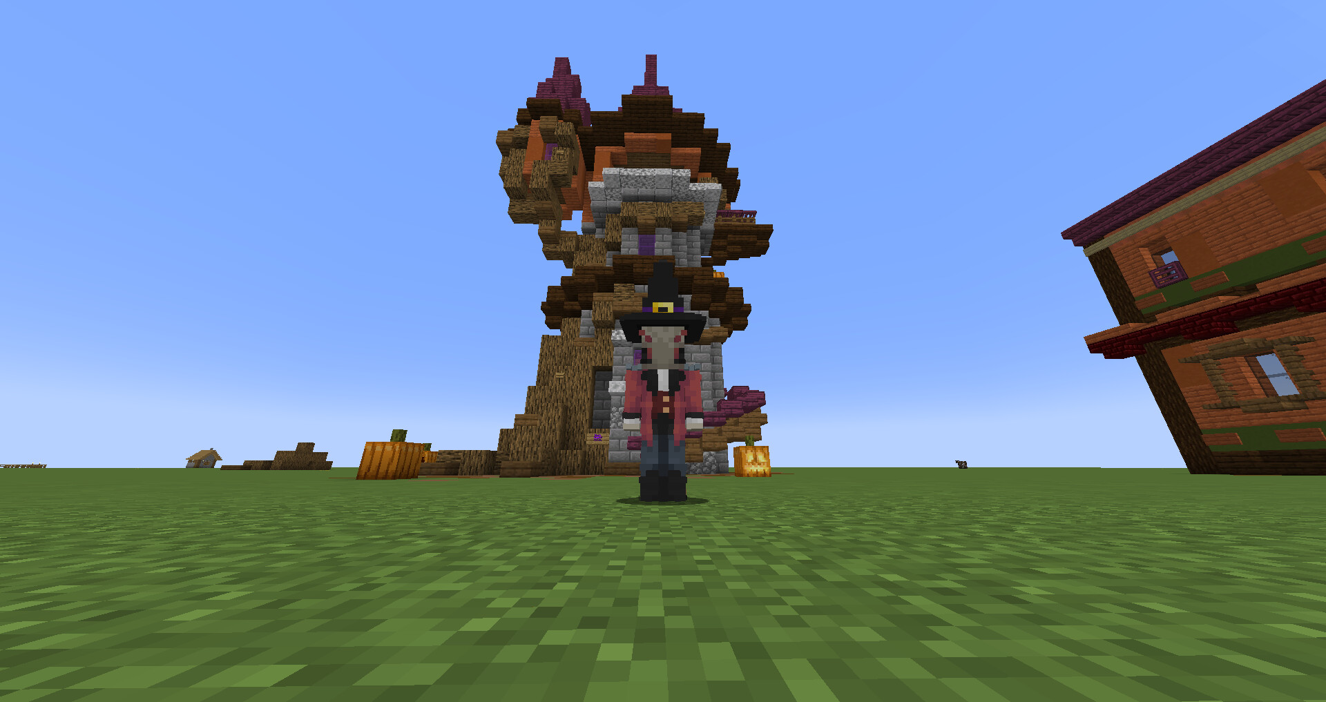 Witches Hat Pack Minecraft Texture Pack