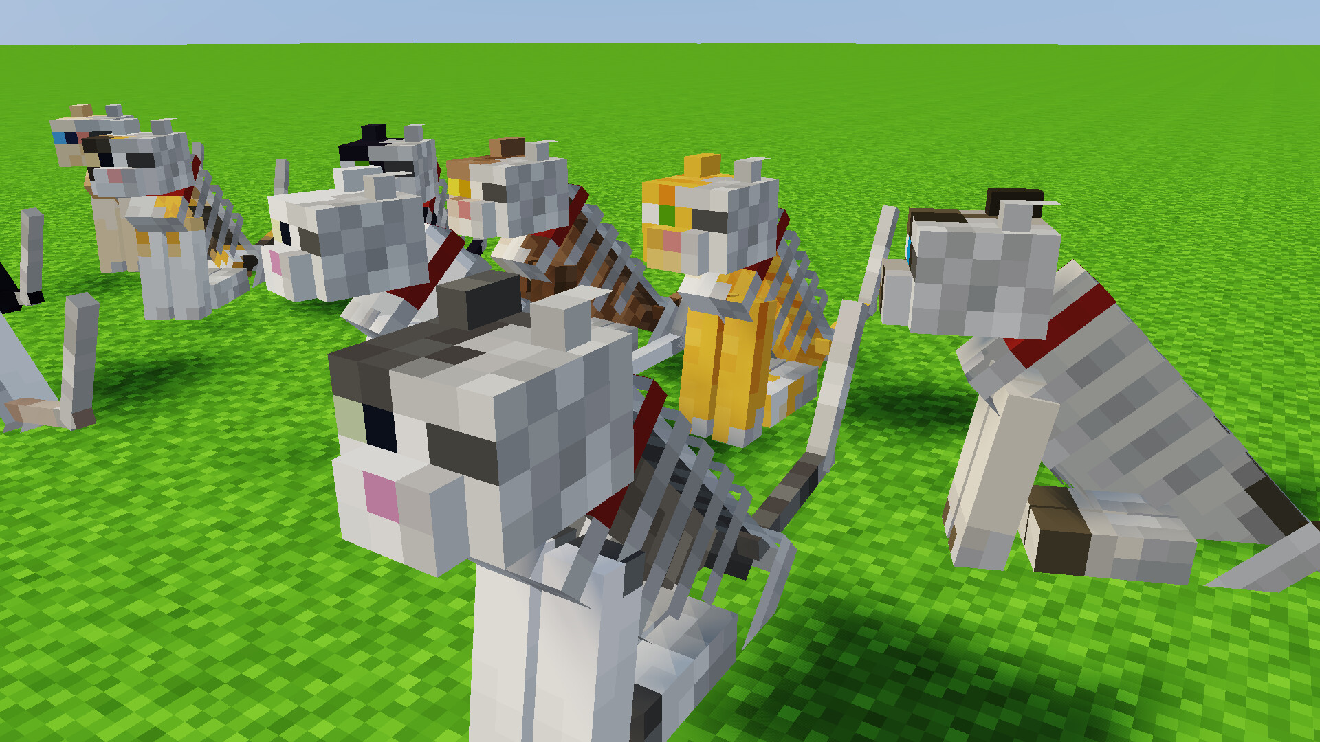 Schrodinger's cats Minecraft Texture Pack
